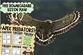Meet the Apex Predators: A Lesson Plan About Animals on Top - A-Z Animals