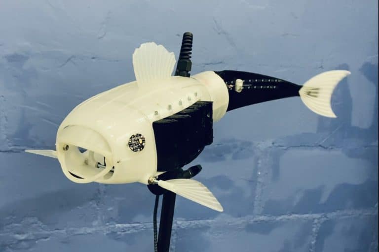 This Robotic Fish Eats Microplastics Like Plankton - A-Z Animals
