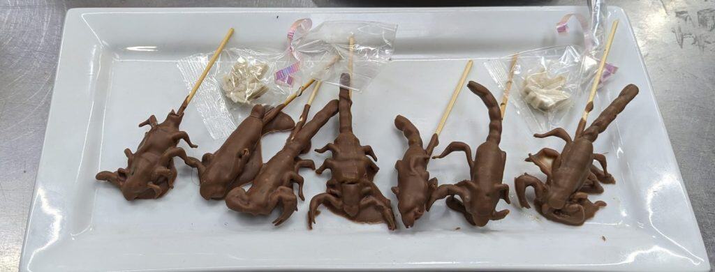 How Bugs Became a Global Superfood - A-Z Animals