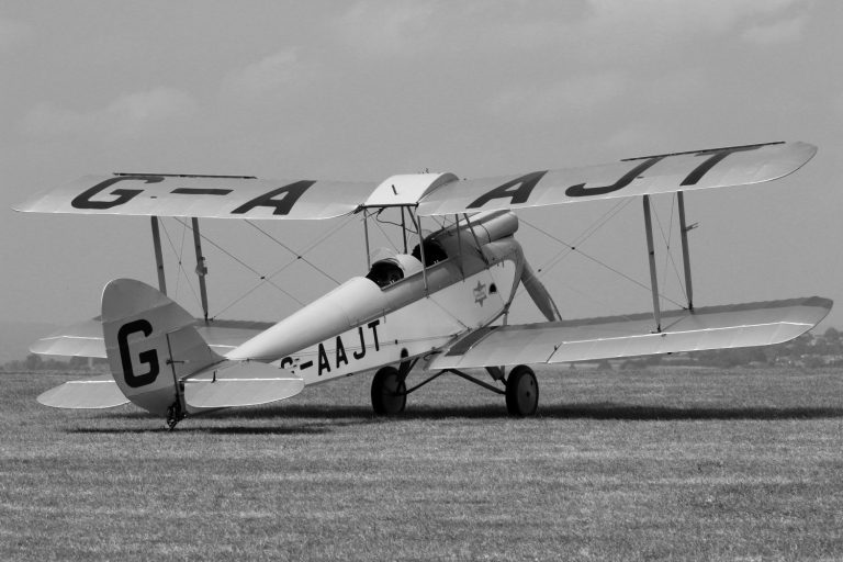 All About “Aero-Dogs,” the Canine Pioneers Who Helped Prove Flight Was ...