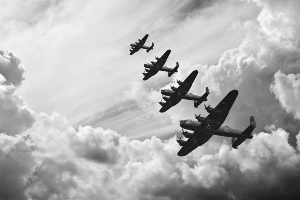 All About “Aero-Dogs,” the Canine Pioneers Who Helped Prove Flight Was ...