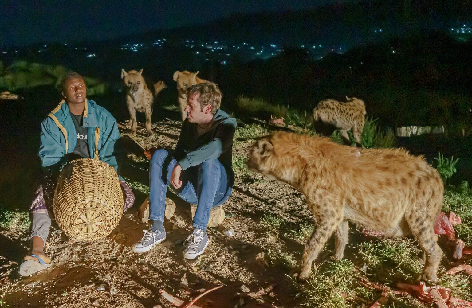 Inside Harar, Where Wild Hyenas Eat from Human Hands at Night - A-Z Animals