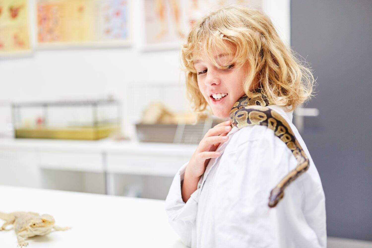 17 Snakes with Paralyzing Venom - A-Z Animals
