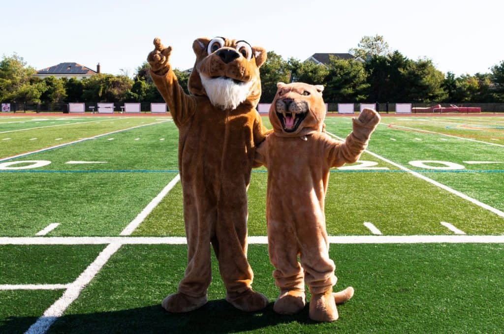 Why Lions, Eagles, and Bears Dominate Sports Mascots Around the World ...