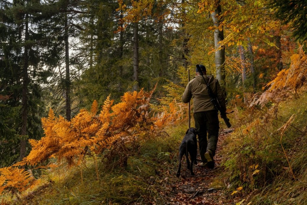 What’s the Difference Between a Park Ranger and a Game Warden? - A-Z ...