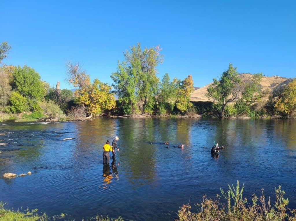 A Little Known Mussel Is Disappearing and It Could Impact Entire Rivers ...