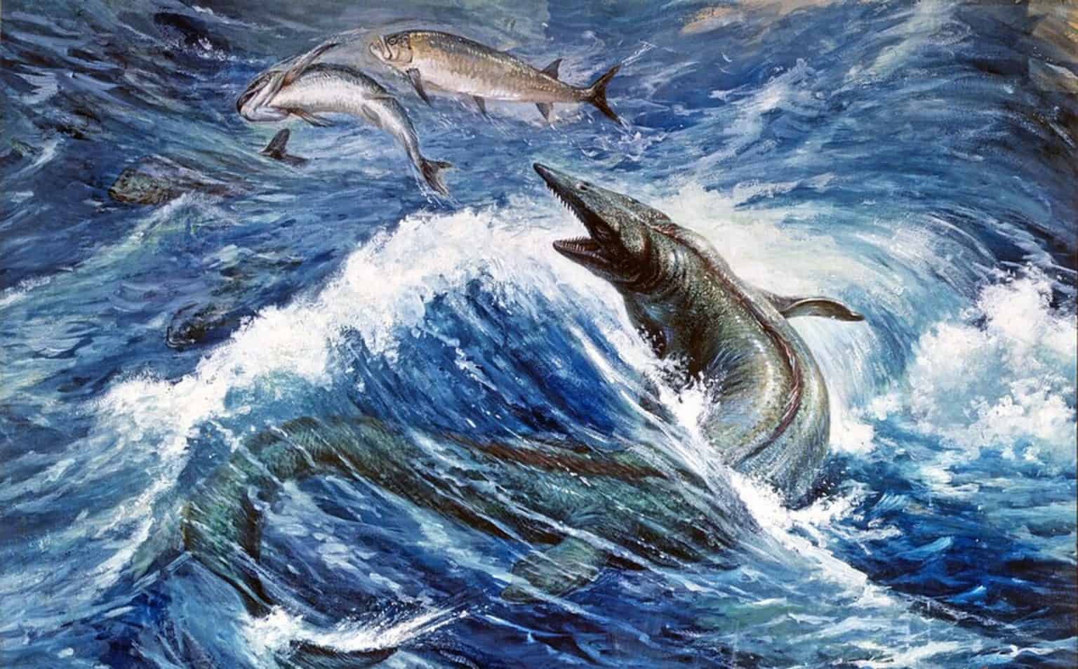 Olm Animal Facts - Proteus anguinus - A-Z Animals