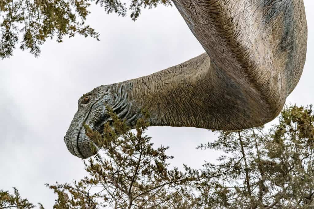 Why This 89-Foot Giant May Be Southeast Asia's Last Titan - A-Z Animals