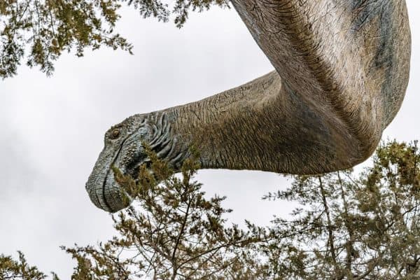 Why This 89-Foot Giant May Be Southeast Asia's Last Titan - A-Z Animals