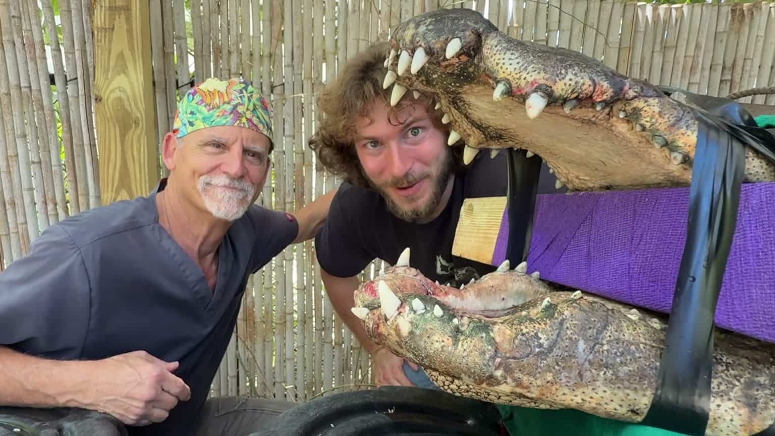 Discover How Crocodiles Can "Surf" for Hundreds of Miles Across the ...