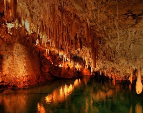 Creatures Found Only in Island Cave Systems - A-Z Animals