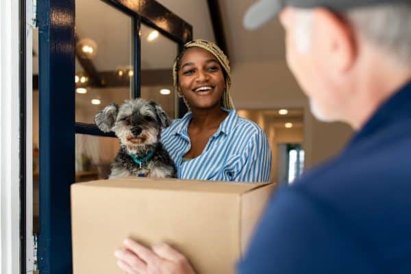 Ranking Cities Where Dogs Attack Postal Workers the Most - A-Z Animals
