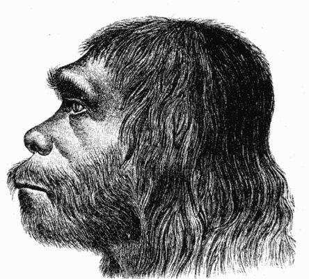 When Did Neanderthals Go Extinct? - A-Z Animals
