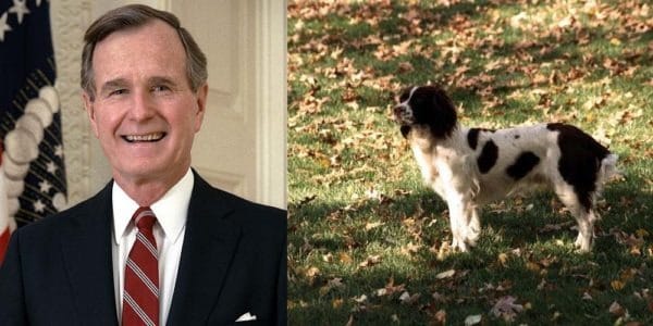 First Dogs: Educational Guide to U.S. Presidents Dogs | Presidential Pets
