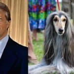 Presidential Dogs: A Guide to the First Dogs of the U.S. - A-Z Animals ...