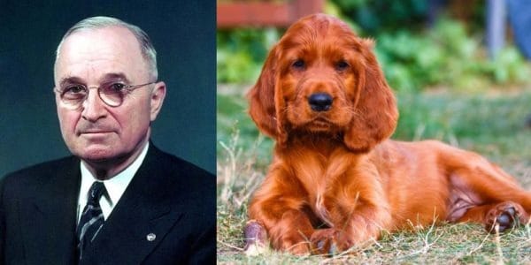 First Dogs: Educational Guide to U.S. Presidents Dogs | Presidential Pets